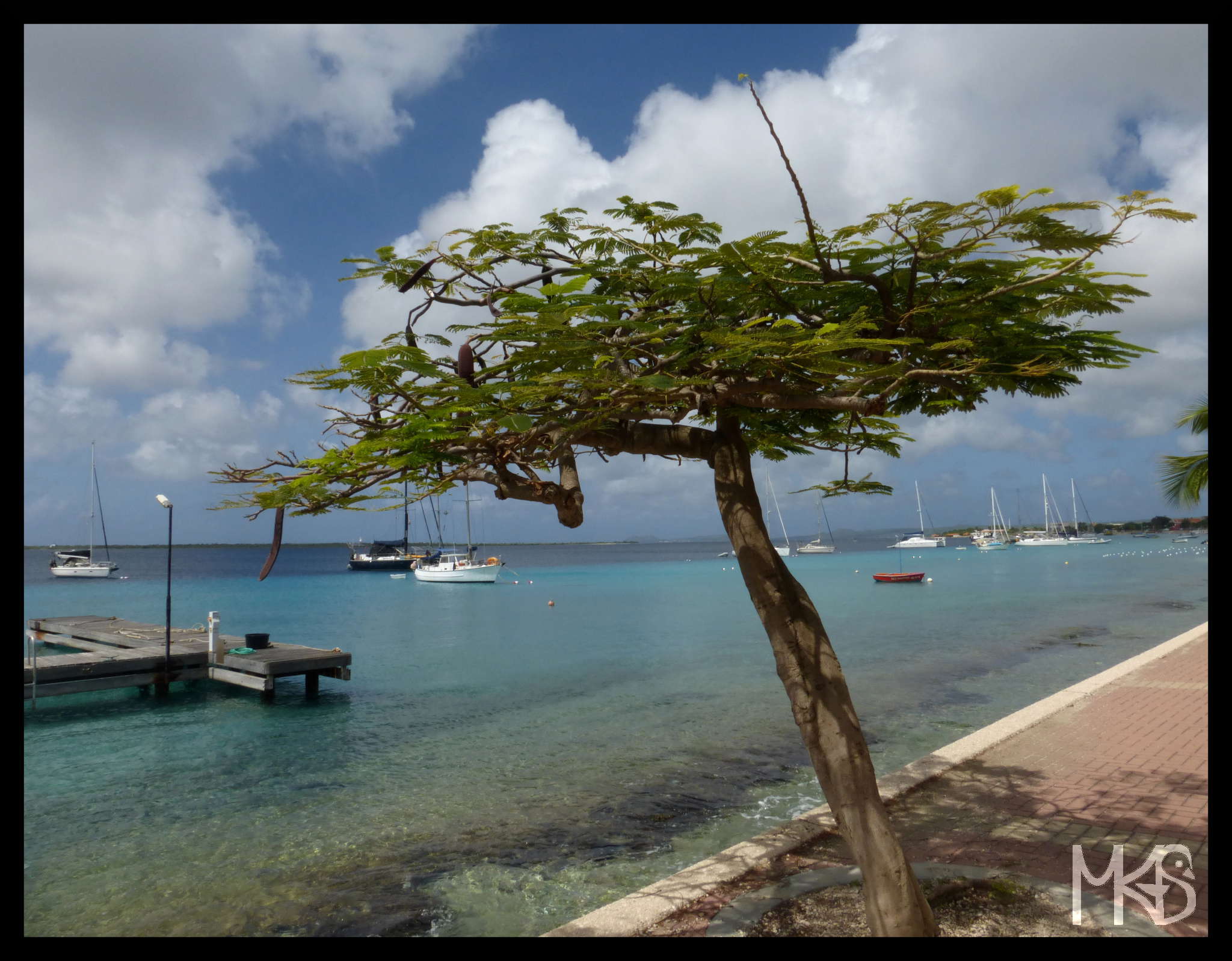 Bonaire - Why to go there - Traveling Rockhopper