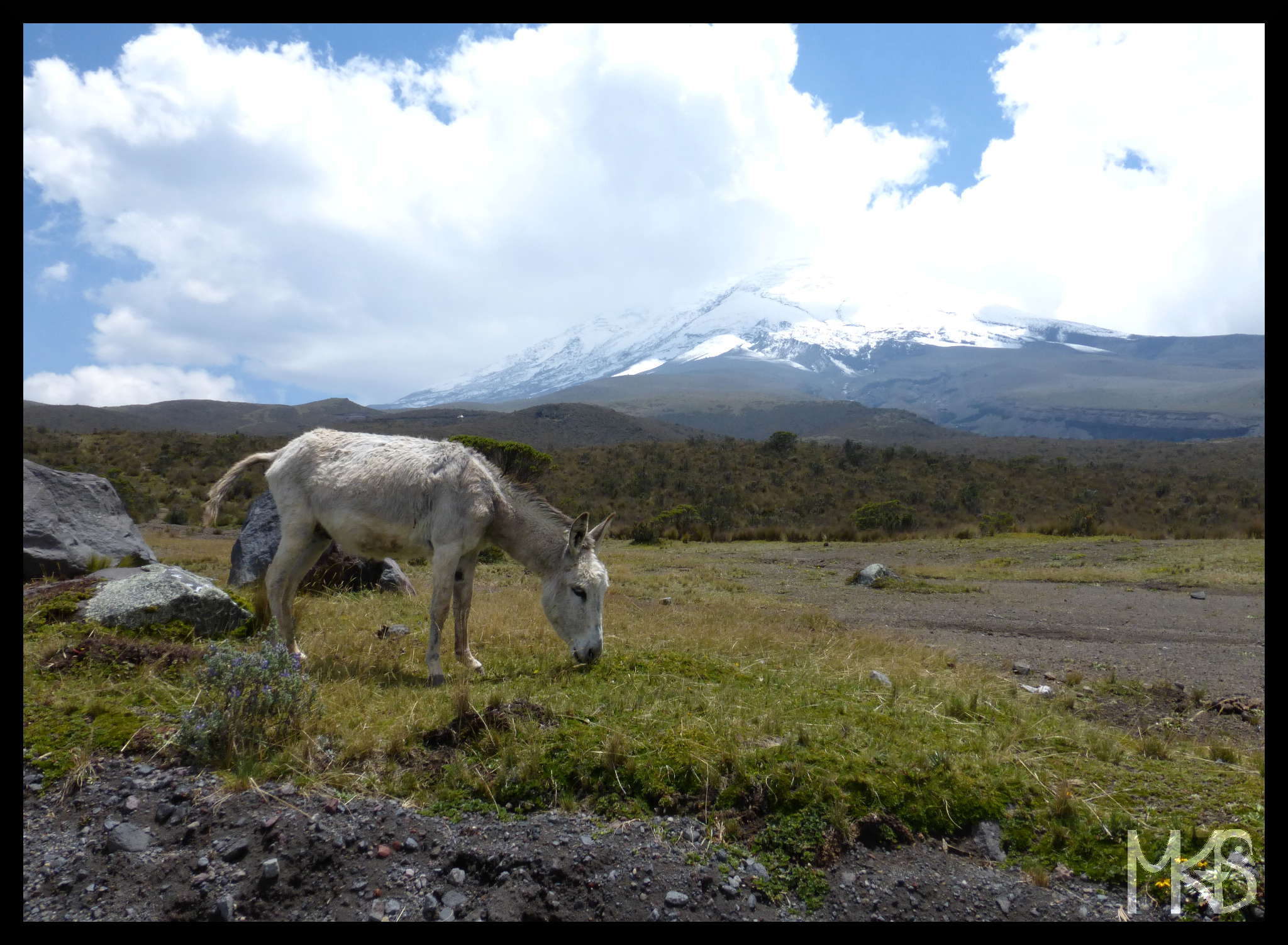 Ecuador - Introduction - Traveling Rockhopper