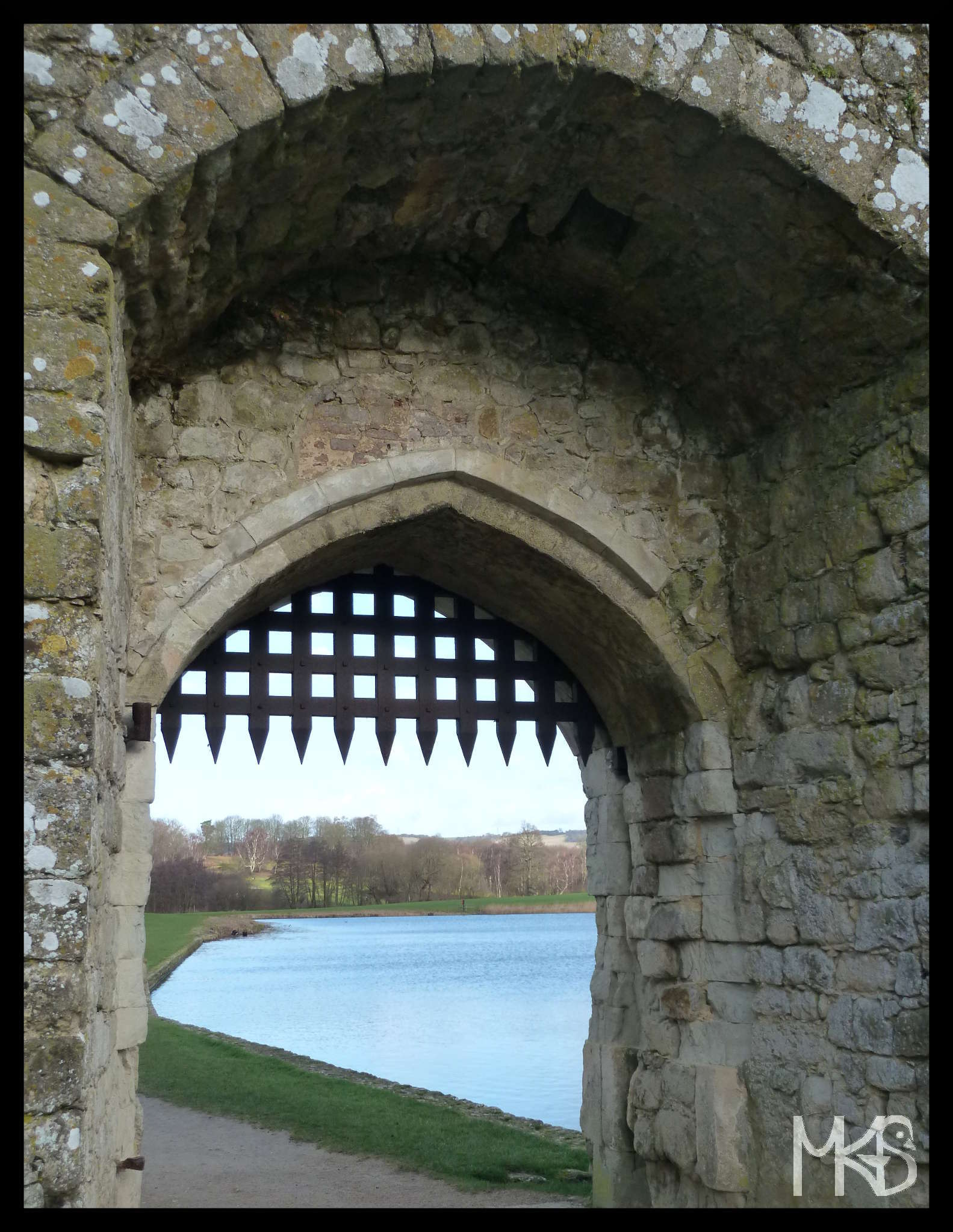 England - Angles - Traveling Rockhopper