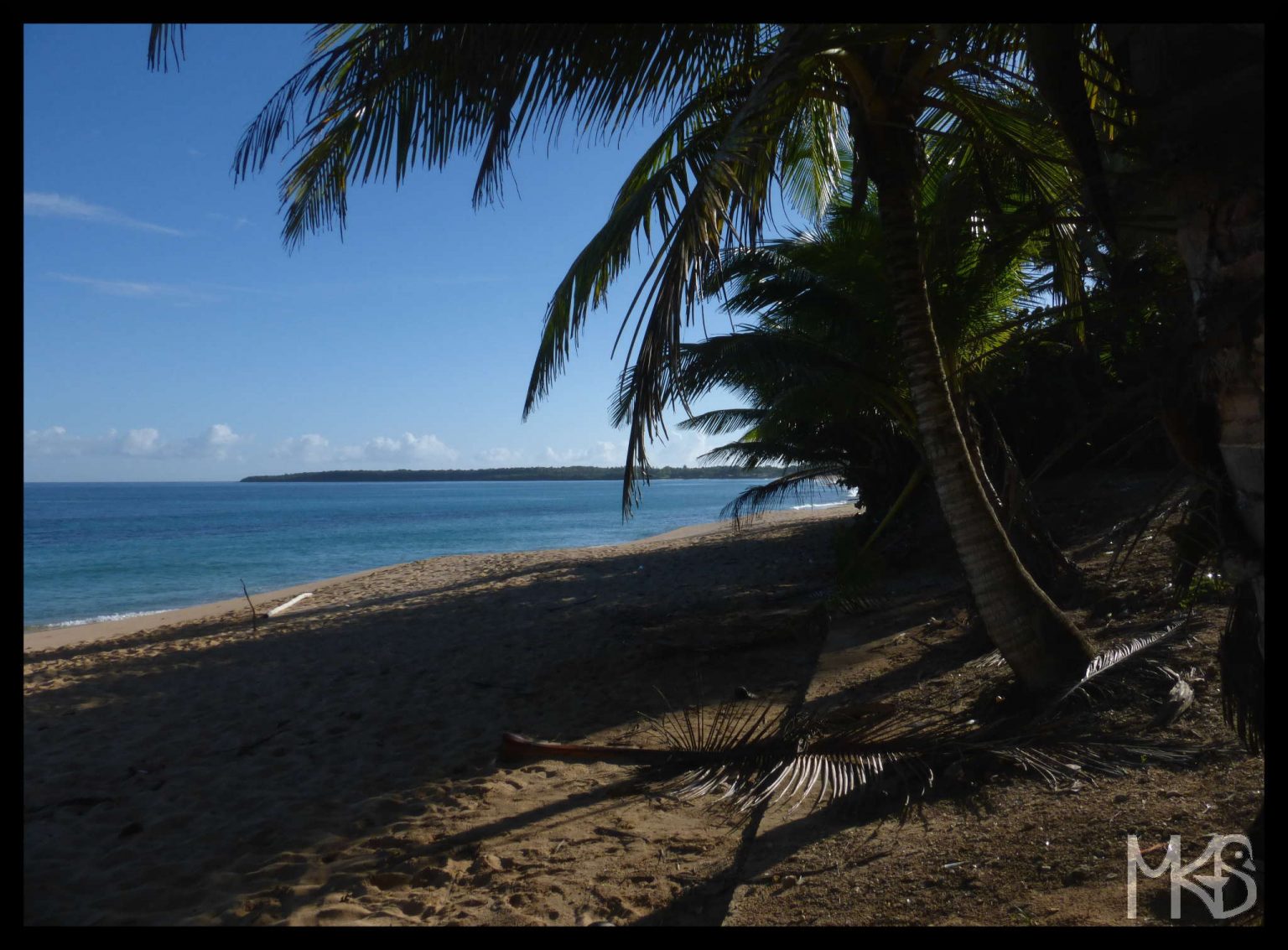 Puerto Rico - Introduction - Traveling Rockhopper