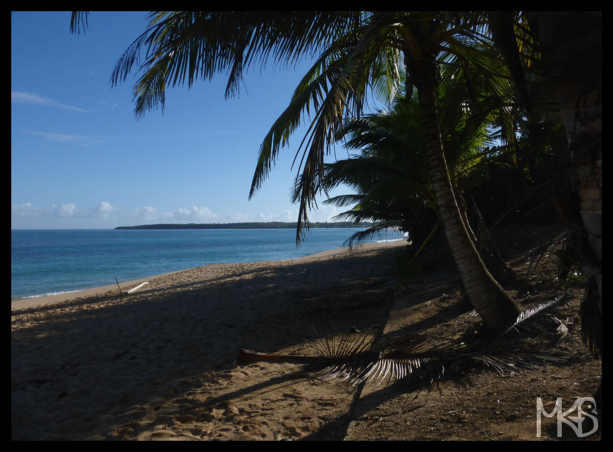 Puerto Rico - Introduction - Traveling Rockhopper