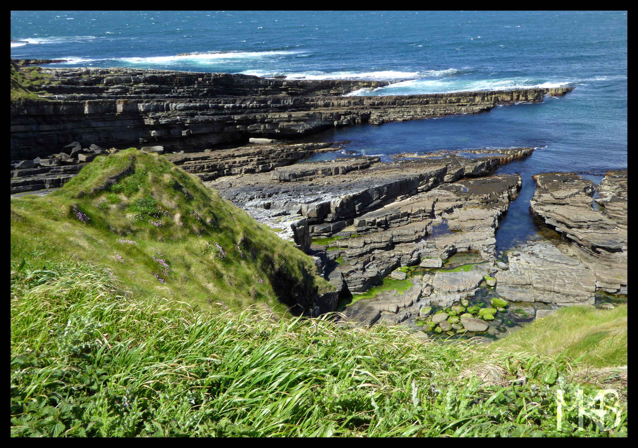 Ireland - My Favourite Nature - Traveling Rockhopper