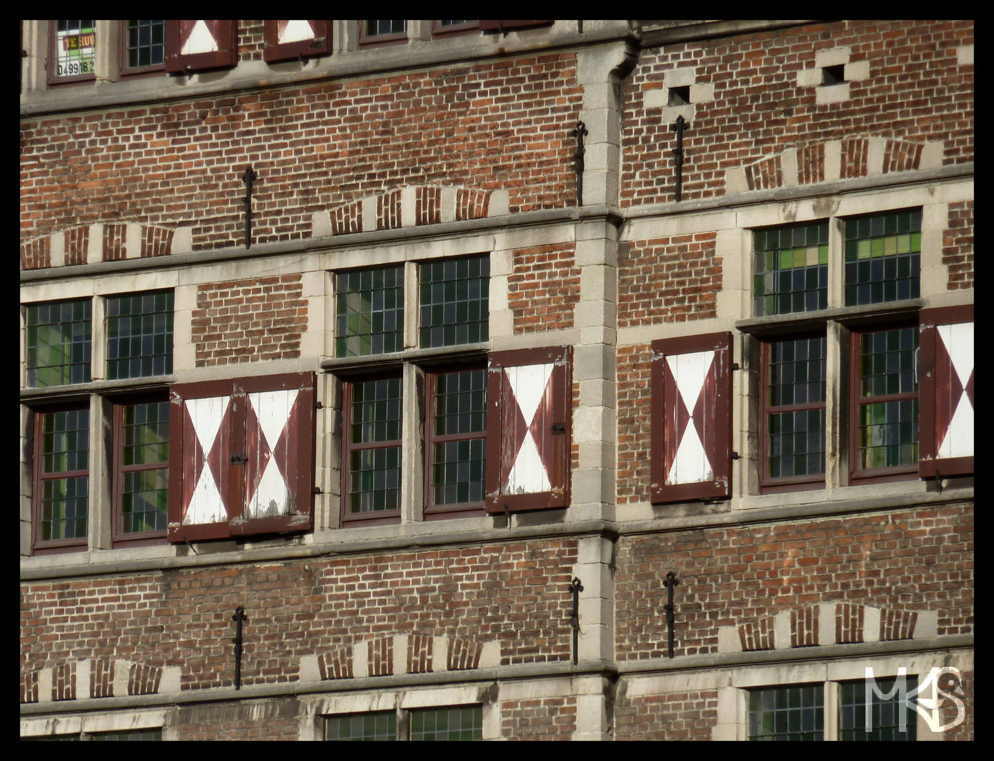 Belgium - Windows - Traveling Rockhopper