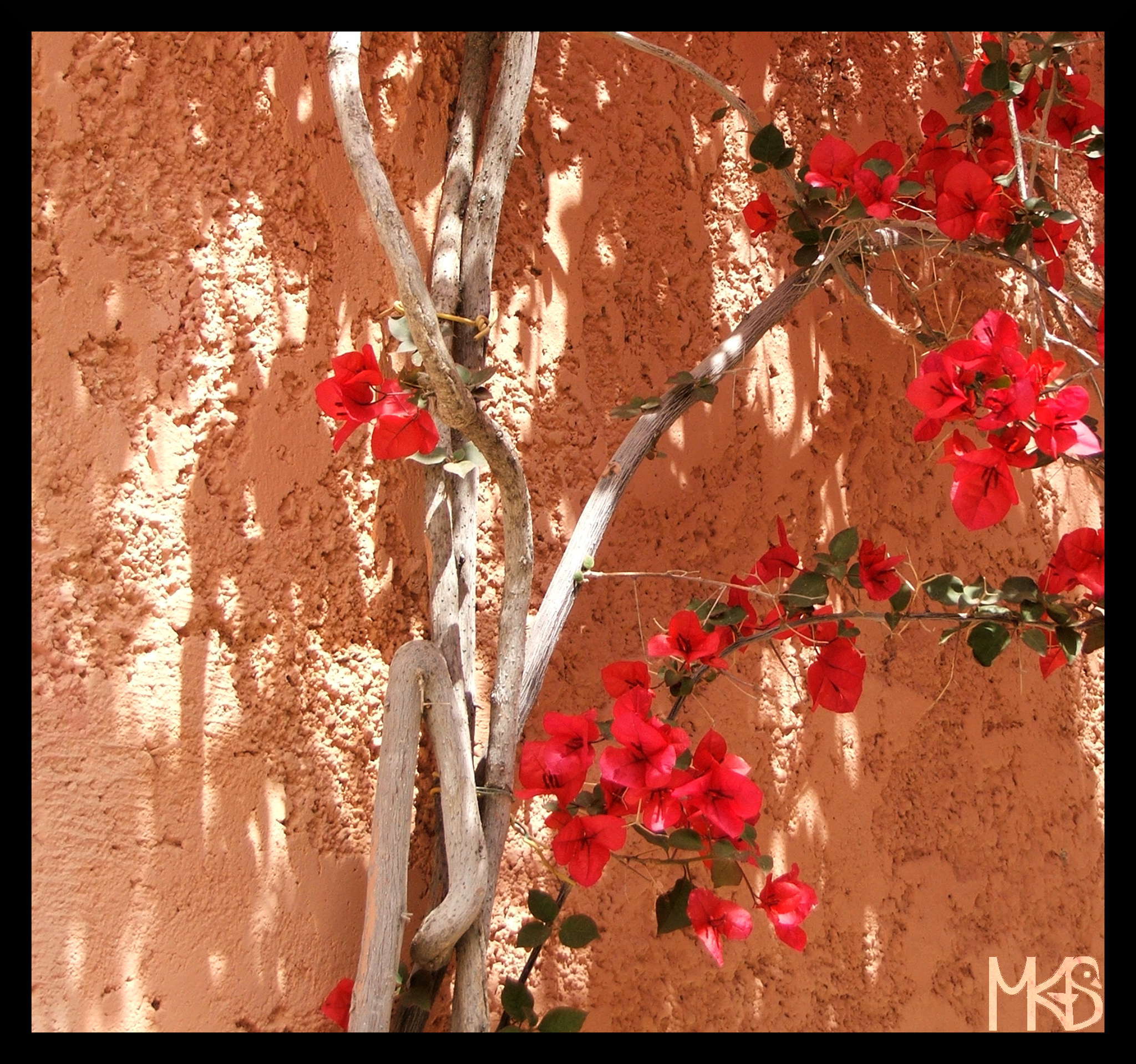 Crete - Colors of Crete - Traveling Rockhopper